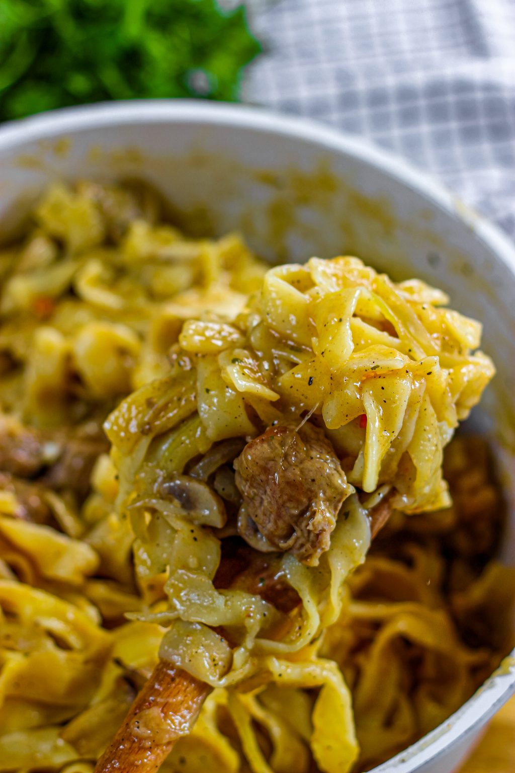 Homestyle Beef and Noodles - From Gate To Plate